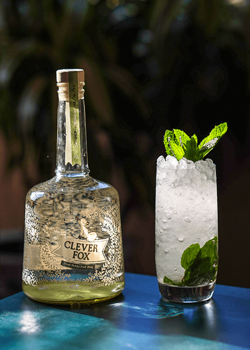 Classic Mojito – Clever Fox