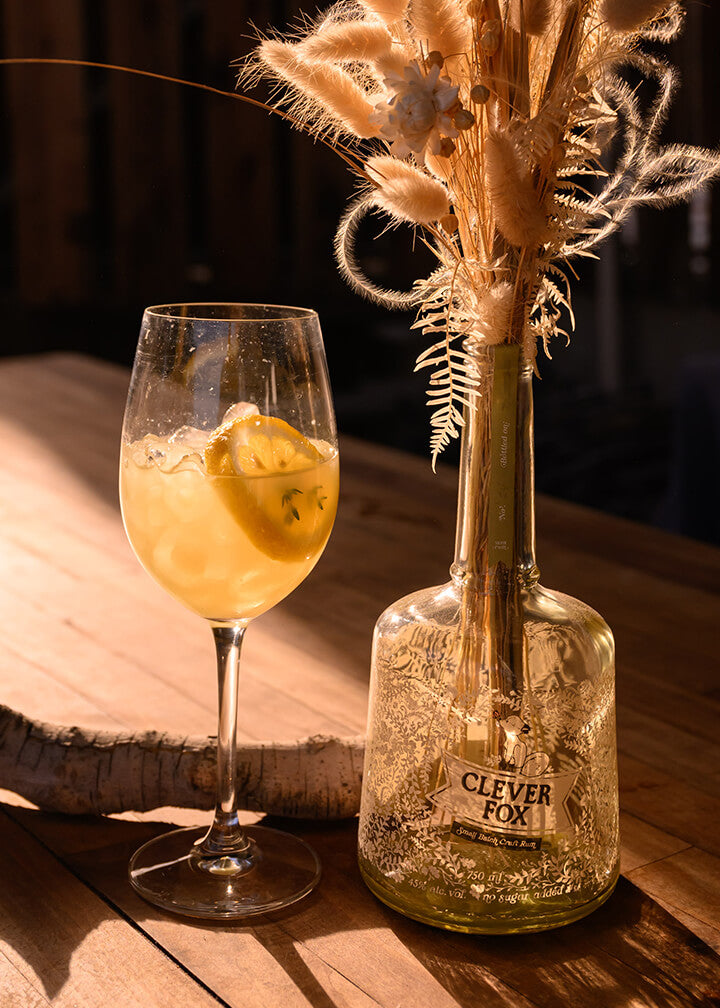 Fox In The Field – Clever Fox