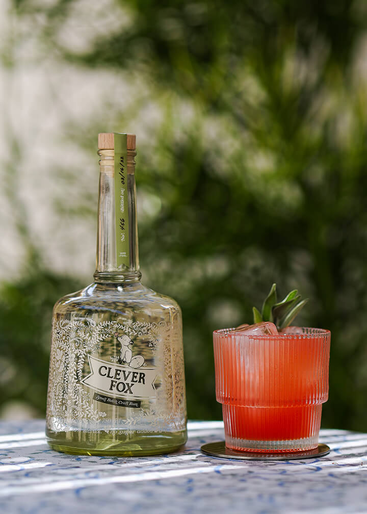 Watermelon Sage – Clever Fox