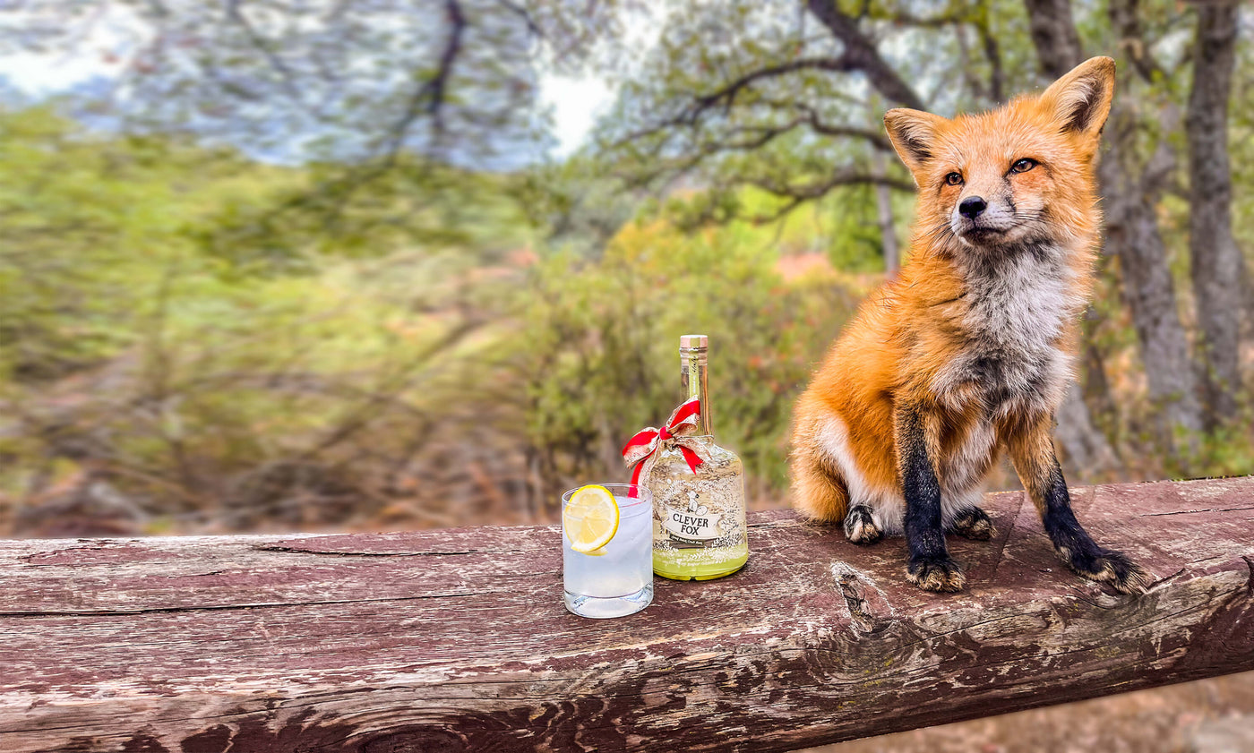 Clever Fox - Delightfully Crafted Rums